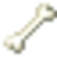 Minecraft Item Editor | Bone | Tynker