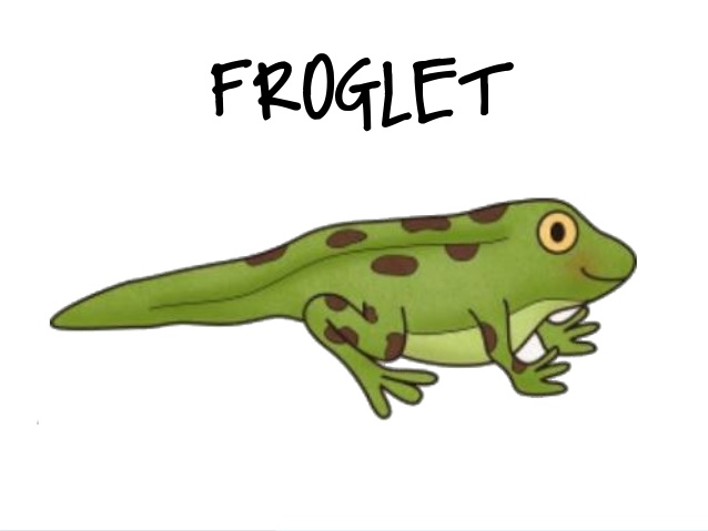 Life Cycles Project-Frogs | Tynker