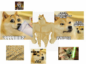 Doge attack | Tynker